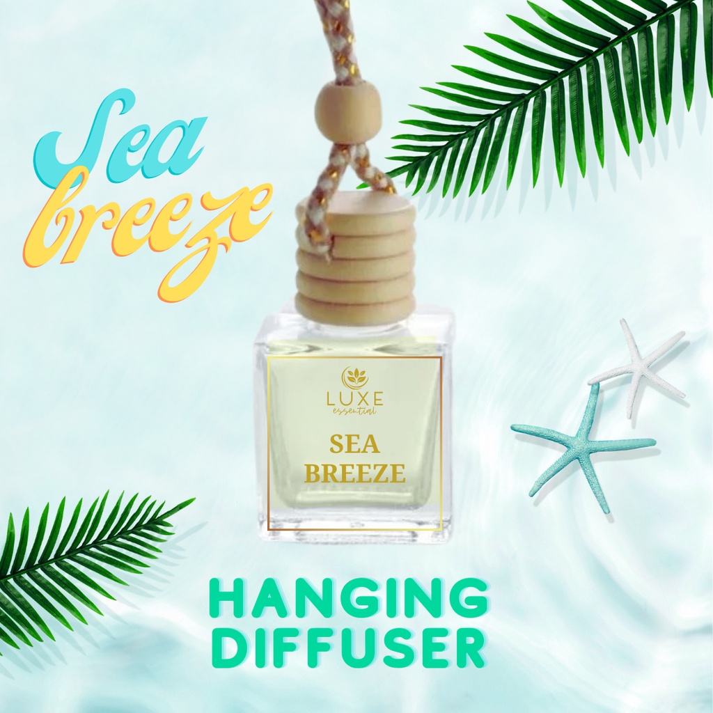 Sea Breeze scent Hanging Diffuser Car Diffuser Odor Eliminator Car ...