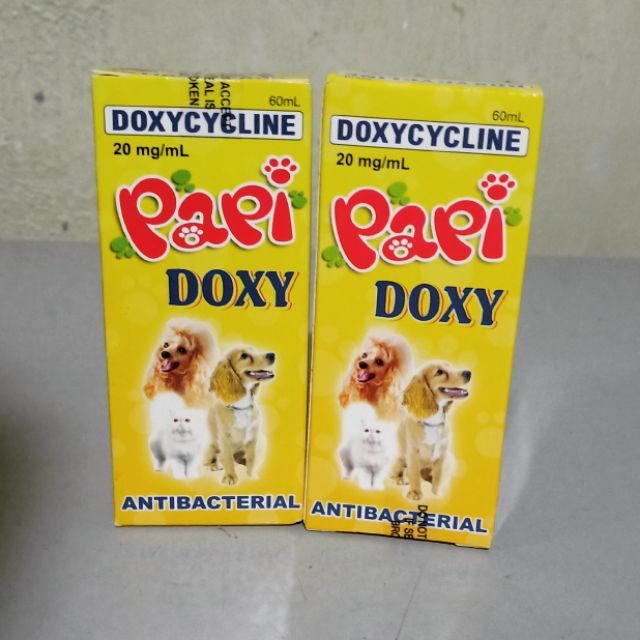 What Is Doxycycline Used To Treat In Dogs