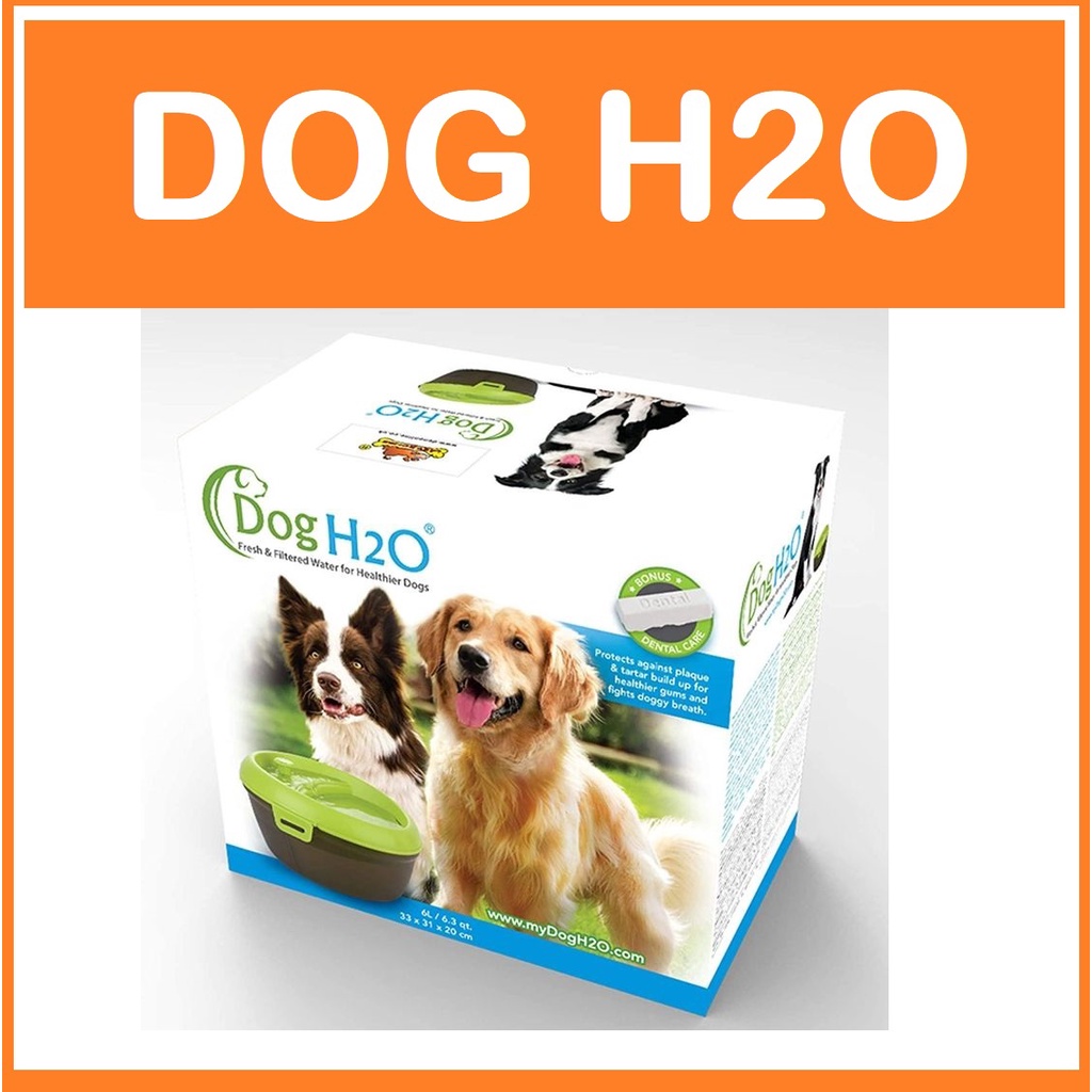 Should I Give My Dog Filtered Water