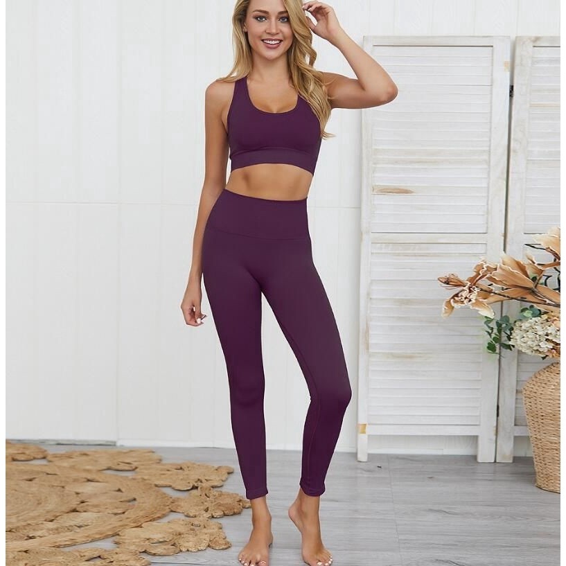 2PCS Seamless Fitness Yoga Sets High Waist Gym Tights Leggings+Bra Suit pants Workout Sport ...