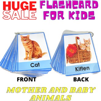 Flashcard mother and baby animal set | mother and baby | animals ...