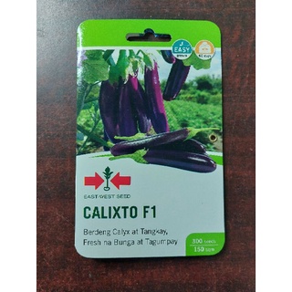 Calixto F1 (300 seeds) Hybrid Talong / Eggplant by East West Seed ...