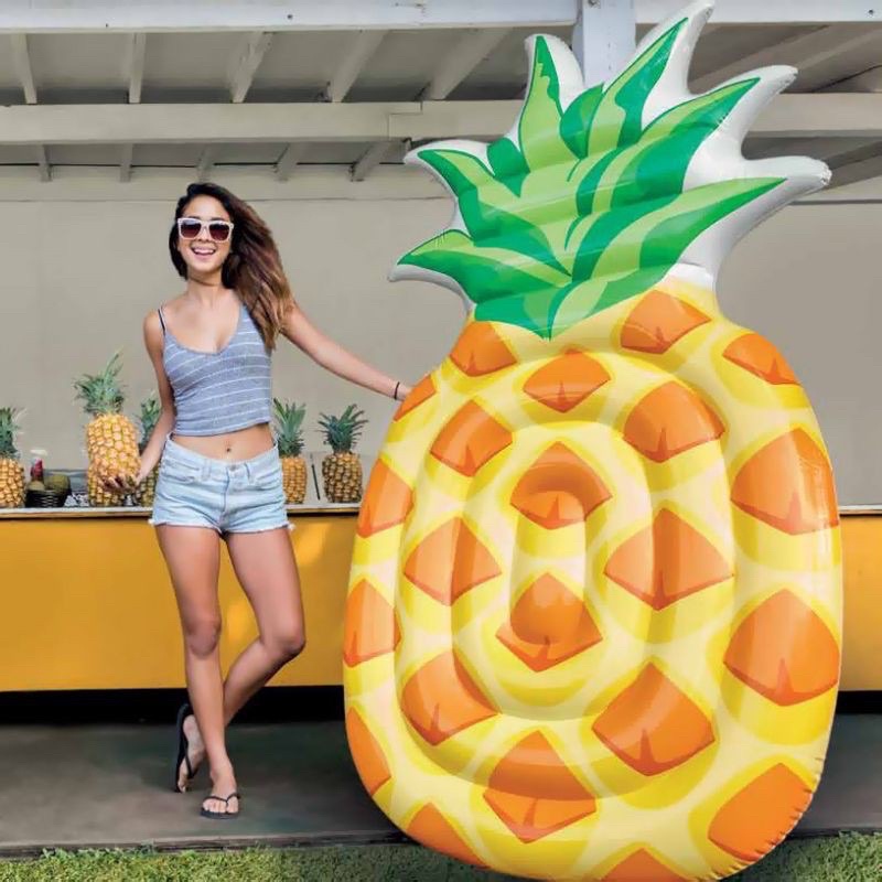 BIG Watermelon Pizza Pineapple Popsicle swimming inflatable floater for ...