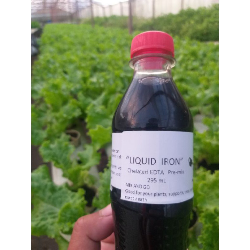 Liquid Iron Chelate Pre-Mix. Rapid Intervention for Potted plants ...