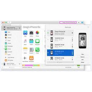 DigiDNA_iMazing for windows - Lynderm Store