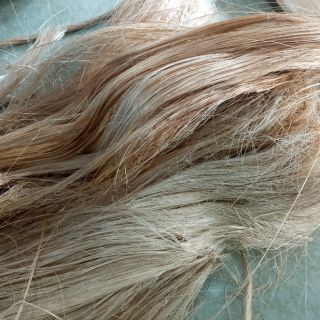 Raw Abaca Fiber | Manila Hemp 100g | Shopee Philippines