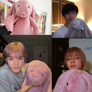Girls Appease Rabbit Doll NCT Jaemin Long-eared Rabbit KPOP NCT Taeyong ...
