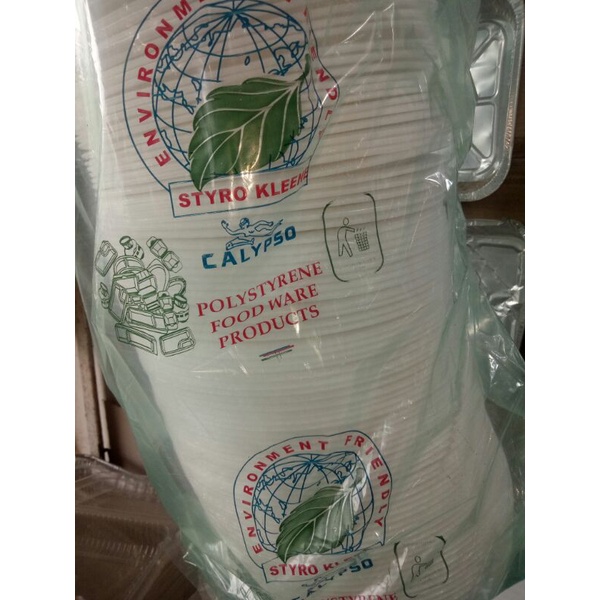 Disposable Styro Plate 9" | Shopee Philippines