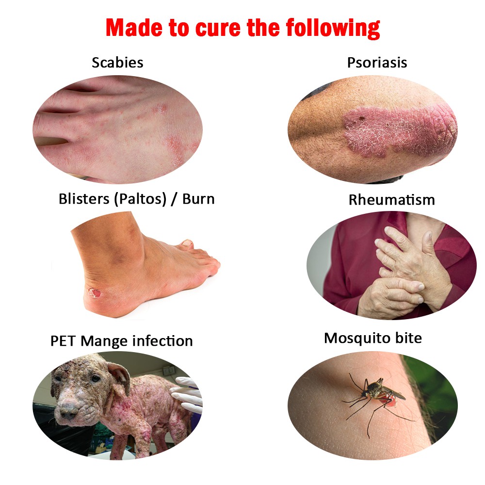 Is Scabies In Dogs Curable