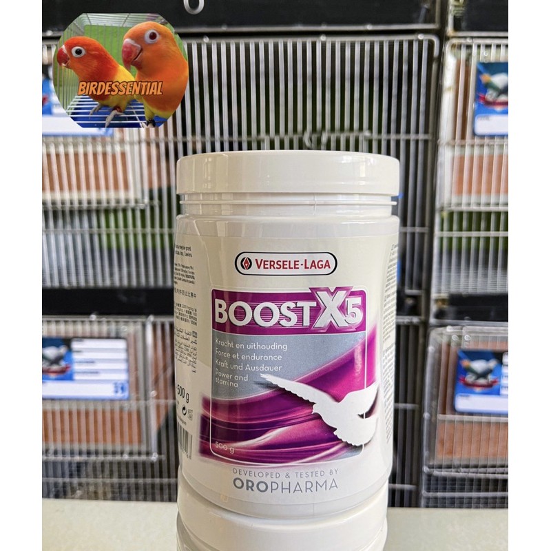 Boost X5 Powder Versele-Laga (500g) | Shopee Philippines