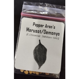 Siling Demonyo Pepper Seeds (Capsicum Chinense) | Shopee Philippines