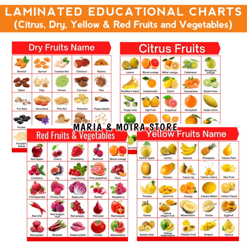 A4 Laminated Educational Wall Charts | Citrus and Dry Fruits Name ...