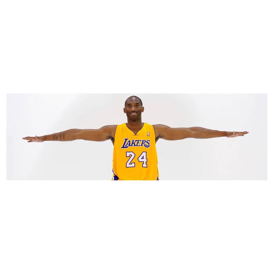 Nba Wingspan