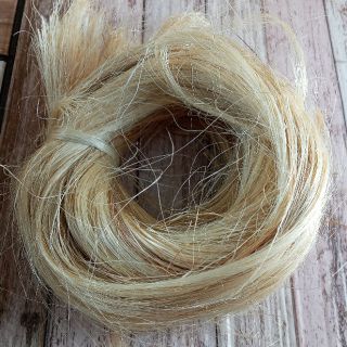 Raw Abaca Fiber | Manila Hemp 100g | Shopee Philippines