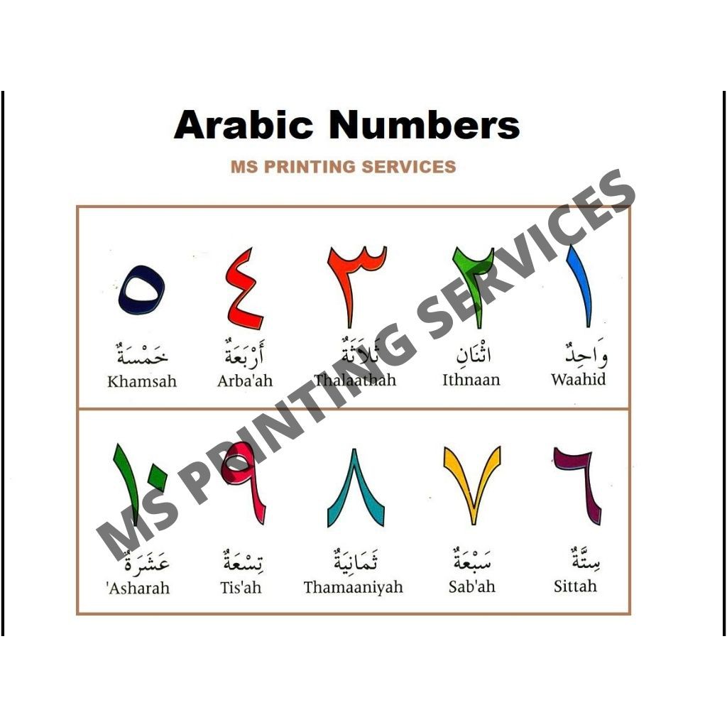 Laminated Chart (Arabic Numbers) | Shopee Philippines