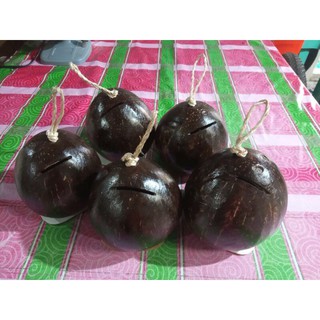 Ecofriendly coconut coin bank Small to Medium Size only | Shopee ...
