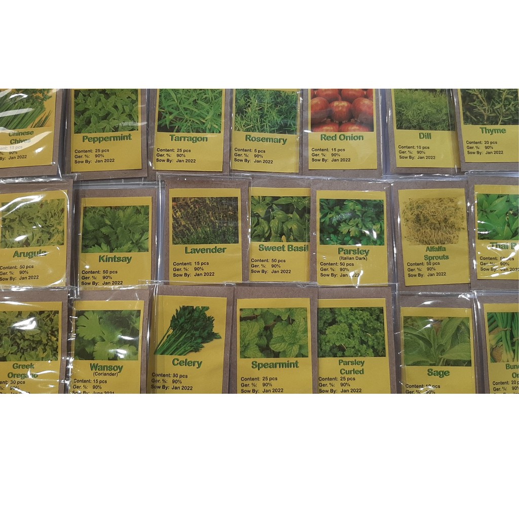 Herbs Seeds Sweet Basil Kintsay Celery Parsley Wansoy Chives Peppermint ...