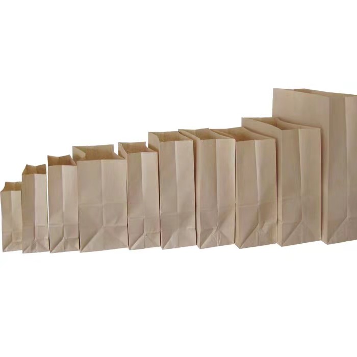 Brown Paper Bag Notion Bag Small 100pcs | Shopee Philippines