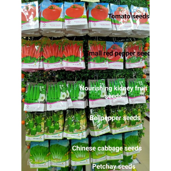 VEGETABLE SEEDS QUALITY SEEDS FOR YOUR BACKYARD | Shopee Philippines