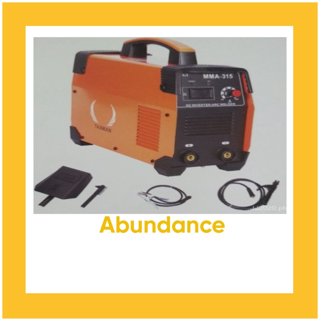 TASSMAN PORTABLE WELDING MACHINE INVERTER 300AMP | Shopee Philippines