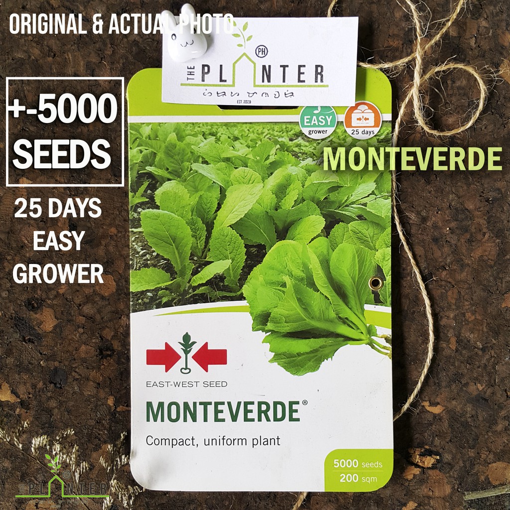 MONTEVERDE MUSTASA - EAST - WEST SEED (Original) | Shopee Philippines