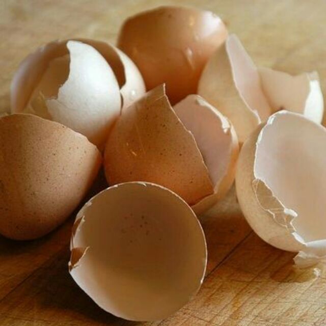 Organic Eggshell / Pure Eggshells crushed 200g/500g/1Kg | Shopee ...