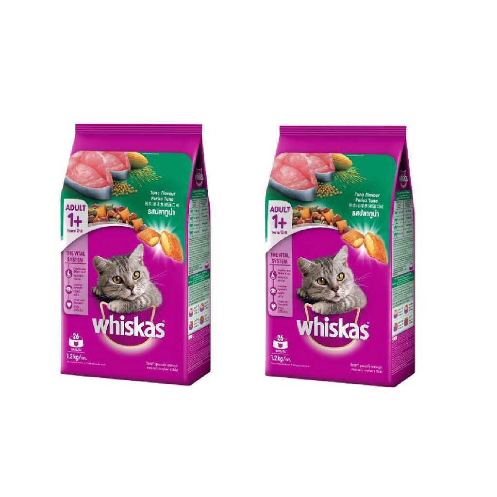 Whiskas Tuna Dry Pockets Cat Food 1.2kg Pack of 2 | Shopee Philippines