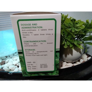 URISAM - Sambong Leaf 500mg - urinary tract or kidney stones - FDA HMR ...