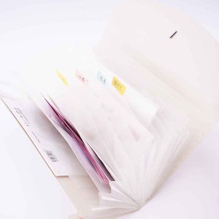 NEW DESIGN Small documents Expandable Plastic Envelope with 13 ...