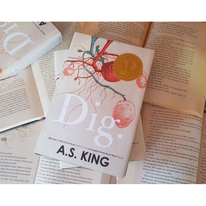 DIG by A. S. King / Hardcover | Shopee Philippines