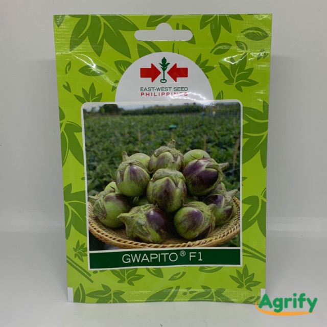 Eggplant Gwapito F1 Seeds | Shopee Philippines