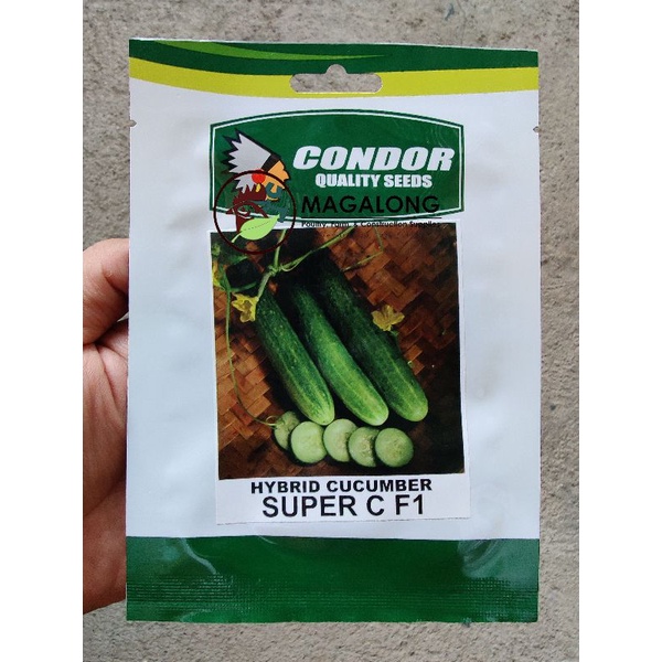 CONDOR SEEDS - CUCUMBER SEEDS - SUPER C F1 HYBRID 1.5 Grams | Shopee ...