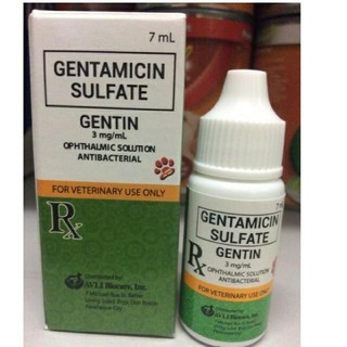 Gentin Eye Drops 7ml | Shopee Philippines