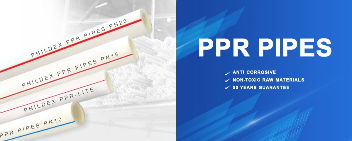 Phildex, Online Shop | Shopee Philippines