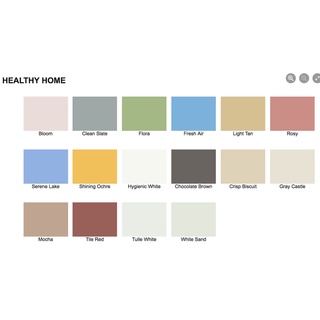 Boysen Healthy Home Odorless Anti-Bacterial Gallon 4 Liters Semi Gloss ...