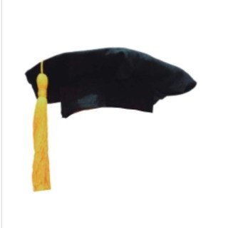4 in 1 Master in Business Administration MBA graduation toga with beret ...