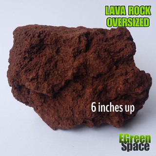 LAVA ROCK (Sold per Piece) Medium Sizes Aquarium Substrate | Shopee ...