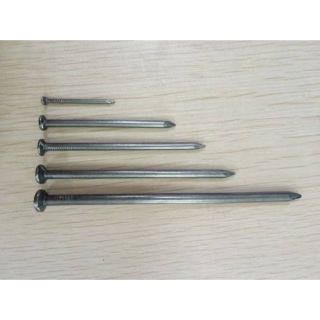 pako - Best Prices and Online Promos - Oct 2022 | Shopee Philippines