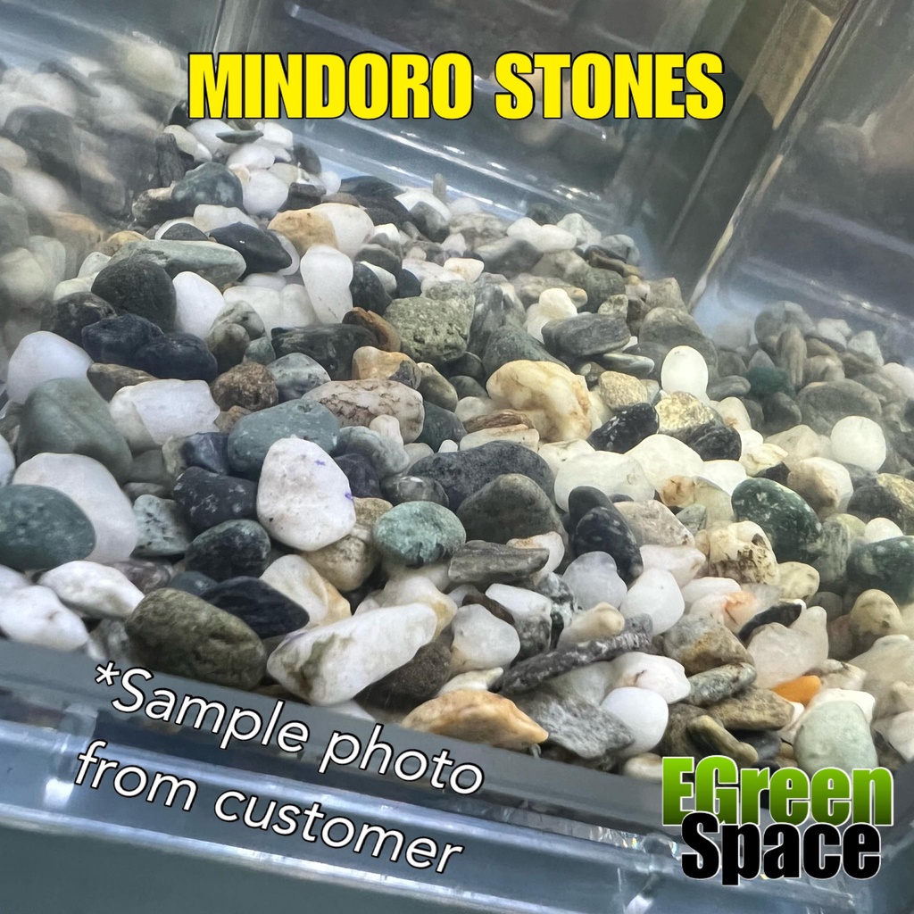 MINDORO STONES - 1 KILO | Pebbles Aquarium Aquascaping | Shopee Philippines