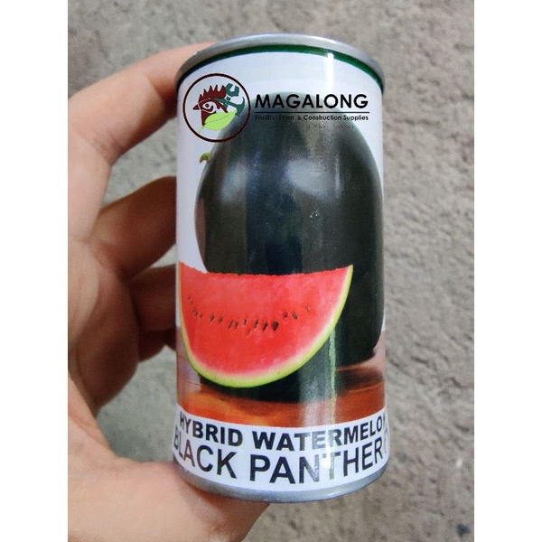 CONDOR SEEDS - WATERMELON SEEDS - BLACK PANTHER F1 HYBRID 140 Seeds ...