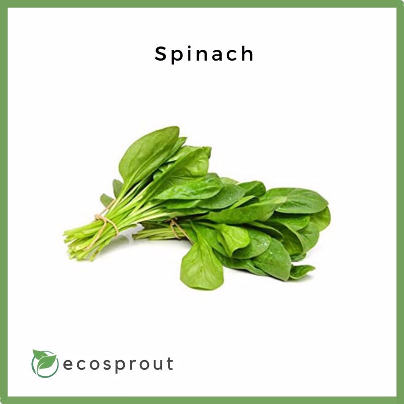 Fresh Spinach | Organic Spinach 250g | Fresh Vegetables | Fresh Fruits ...
