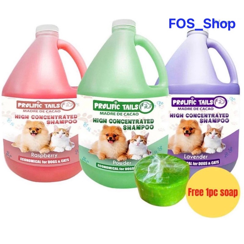 Prolific Tails 1 Gallon (3.78L) Madre De Cacao Shampoo Anti Mange ...