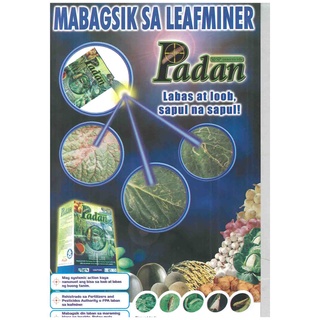 PADAN Insecticide 100g,300g and 500g | Shopee Philippines