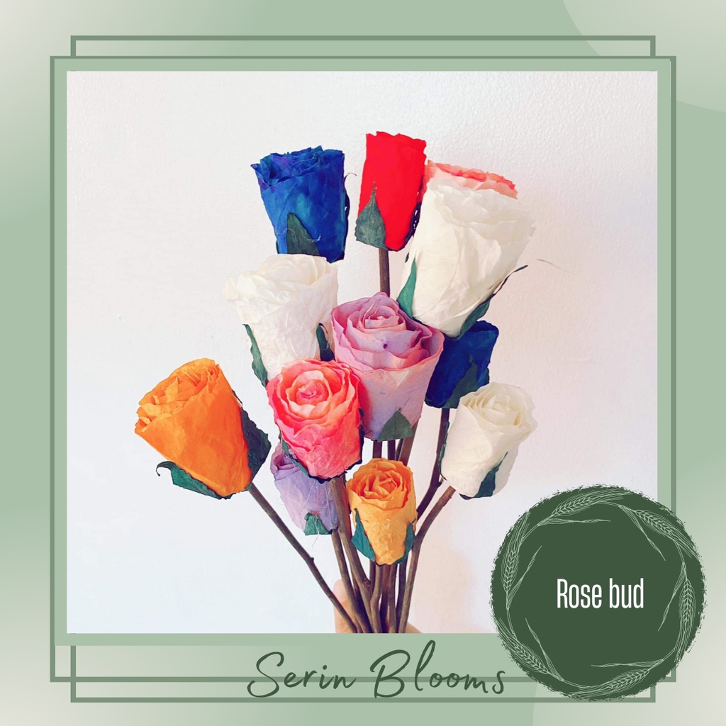 Fossilized Rose buds (1 stem only) | Shopee Philippines