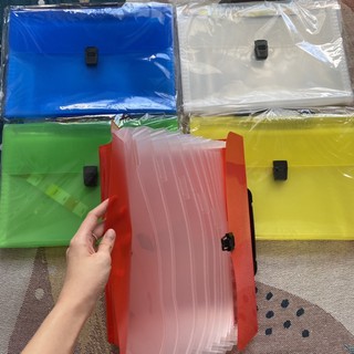 Accordion Long Expanding Plastic Envelope with Handle Indexes Index Tab ...