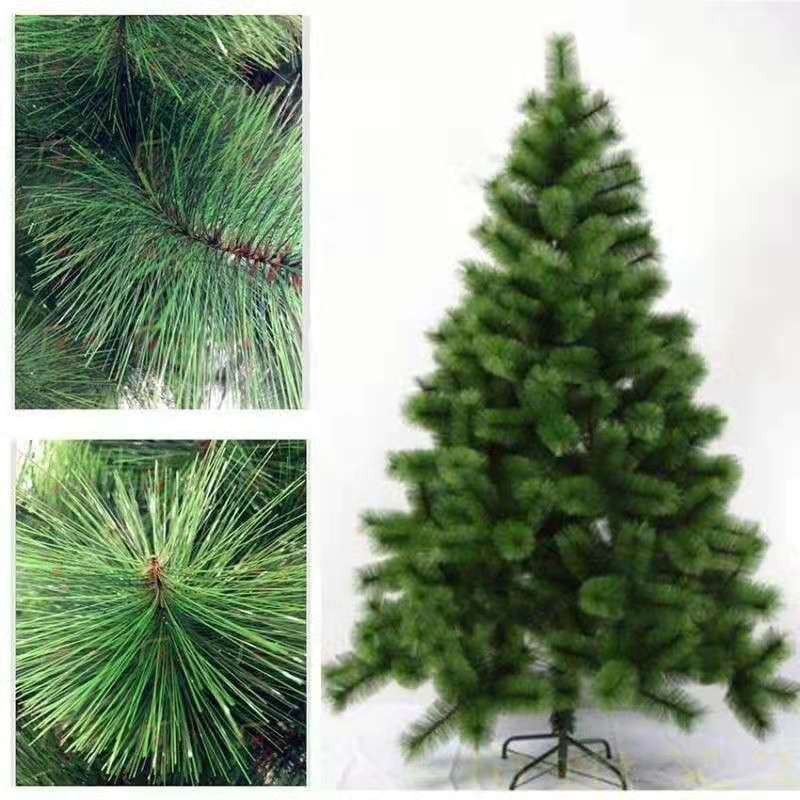 Sugar Pine Christmas Tree 6ft (180cm) /Season Occational Christmas tree ...