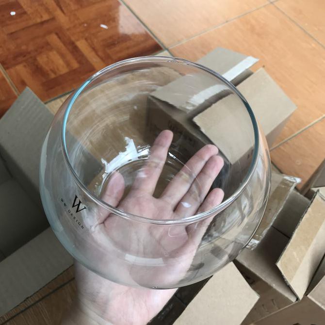 Clear Glass Round Flower Vase 2 Liter Cute Round Glass Flower Pot ...