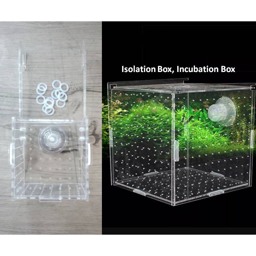 Acrylic Fish Isolation Box, incubation Box, Fry Isolation Box, etc ...