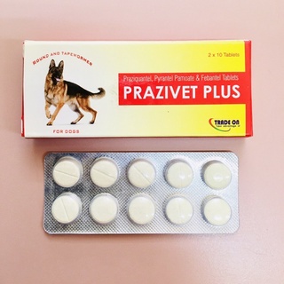 Dog Deworm Tablet Prazivet Plus For Roundworm Tapeworm (Ubat Cacing ...
