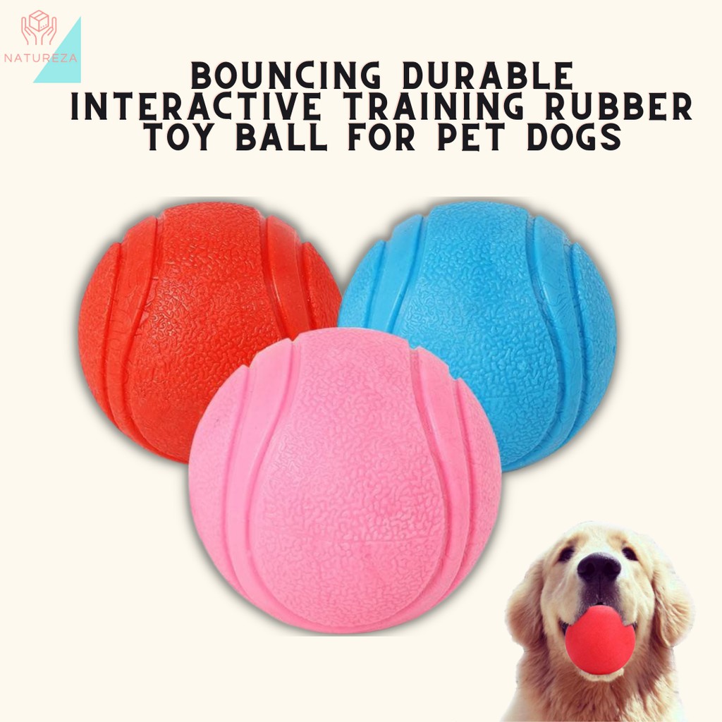 Bouncing Durable Interactive Training Rubber Toy Ball for Pet Dogs ...